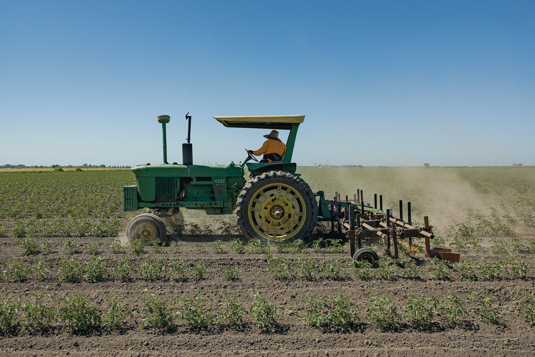 About - Elevated Foods