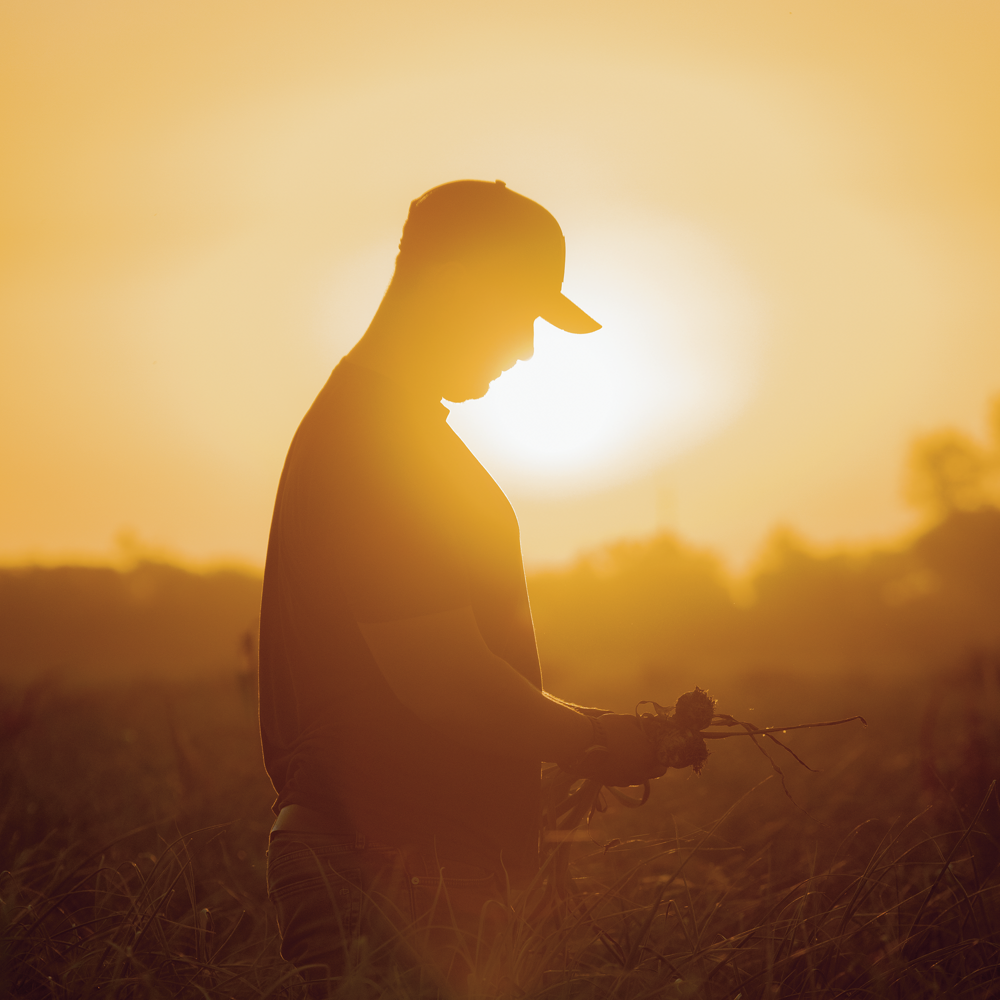 Elevated Foods | Home