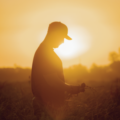 Elevated Foods | Home