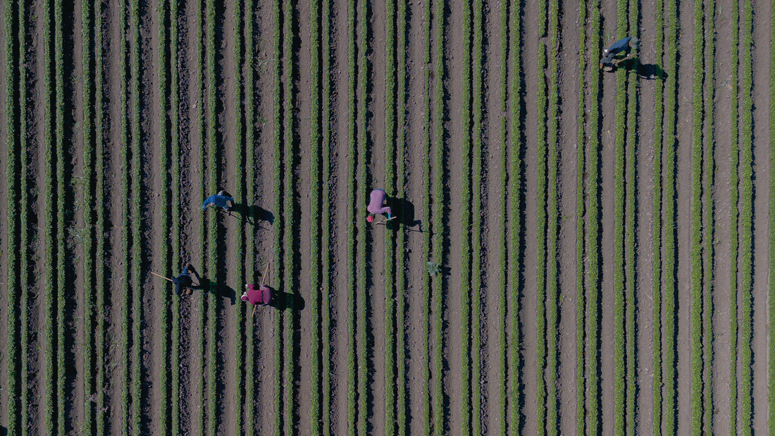 Elevated Foods | Home