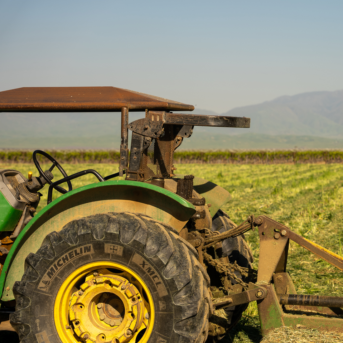 Elevated Foods | Home